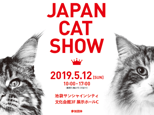 全国から美猫が大集合！日本最大級のキャットショー「ジャパンキャットショー」5/12に開催決定 | Cat Press